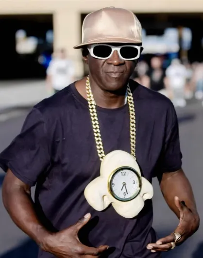 Flava Flav's Wife: Is the Public Enemy Icon Married in 2025?